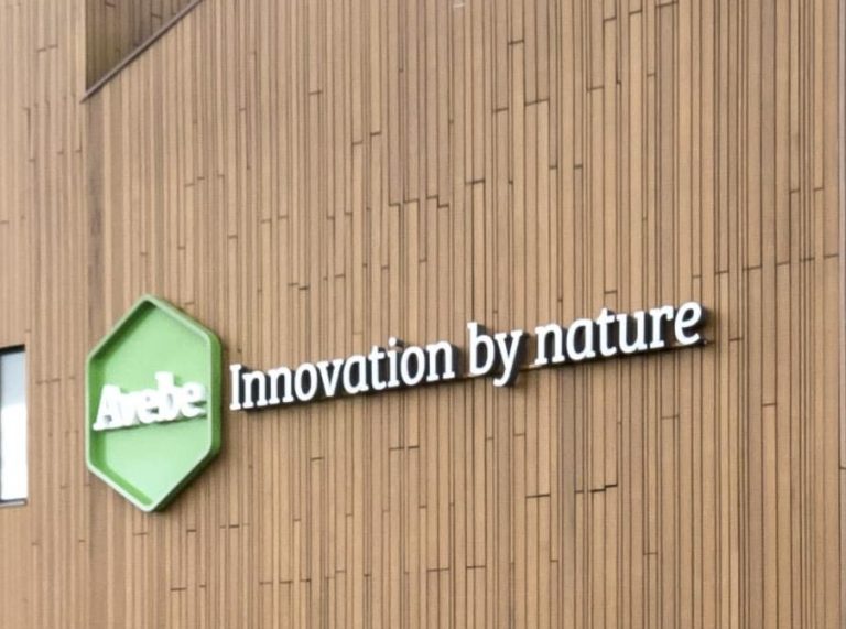 Over Triade – Triade